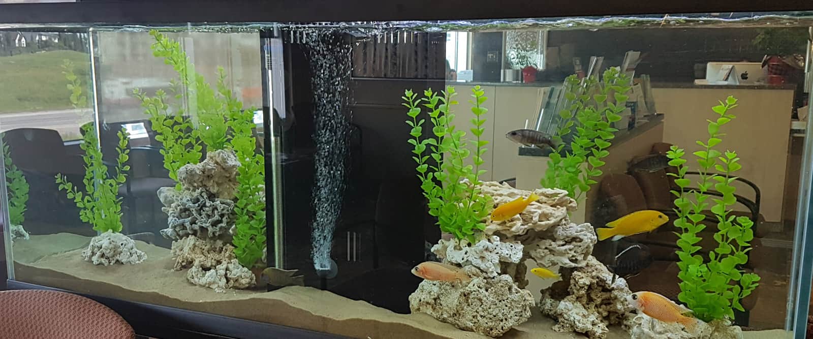 Dentist in NW Calgary | Dental Clinic in NW Calgary | Dental Office in ...